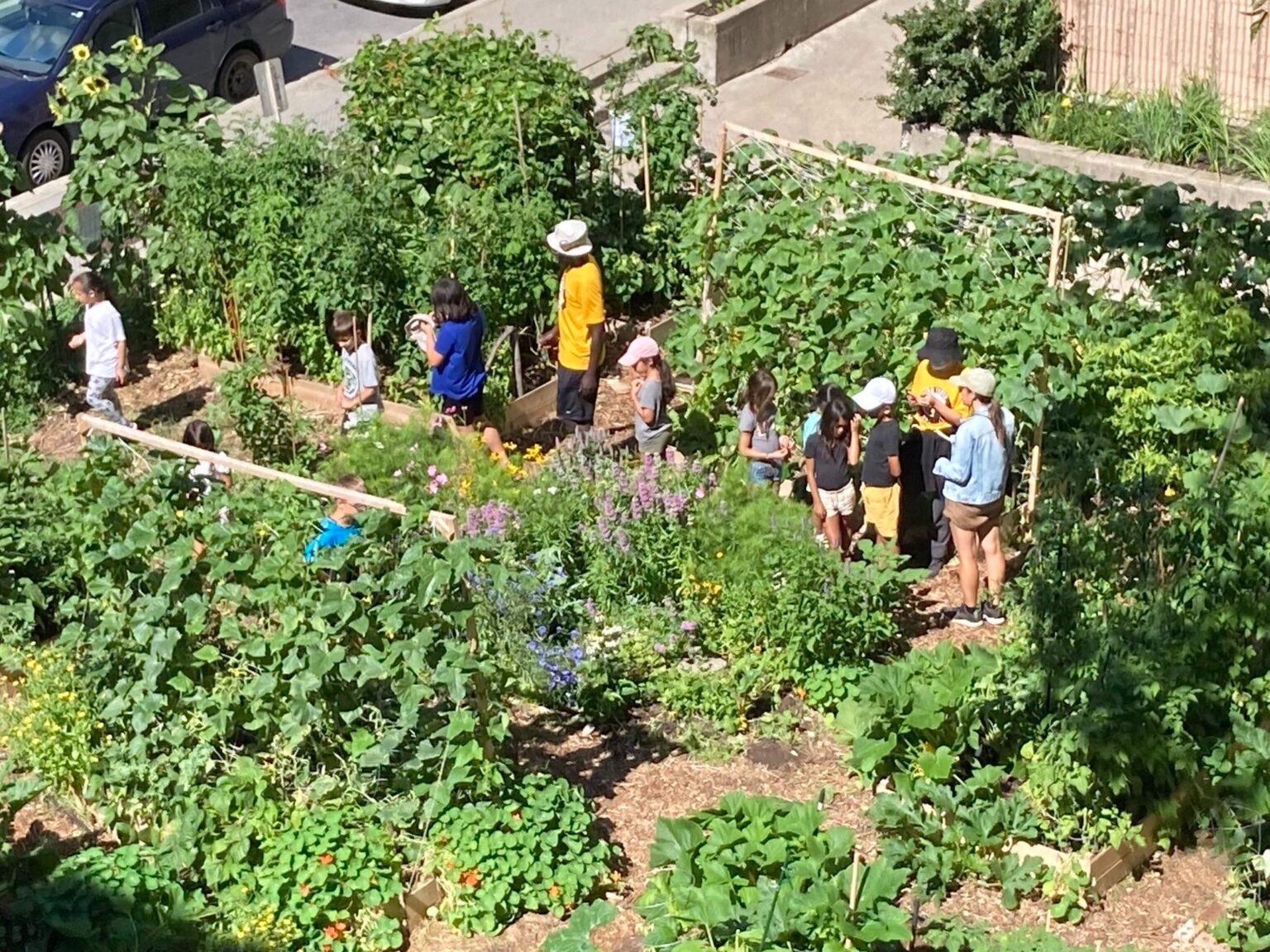 Community Gardens | CCMP/MPCC